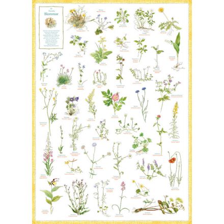 Vackra affischer / posters med motiv ur svenska sagor och berättelser